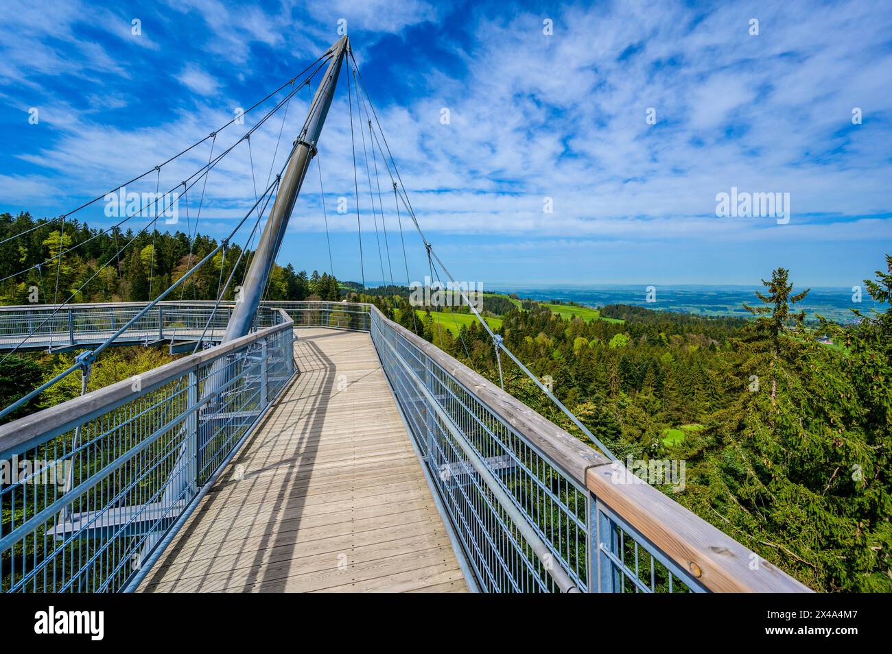 View of the tree top path and trail in beautiful mountain scenery ...
