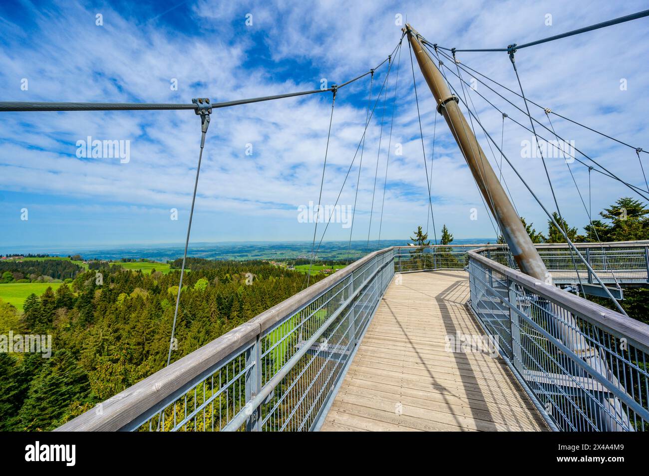 View of the tree top path and trail in beautiful mountain scenery ...