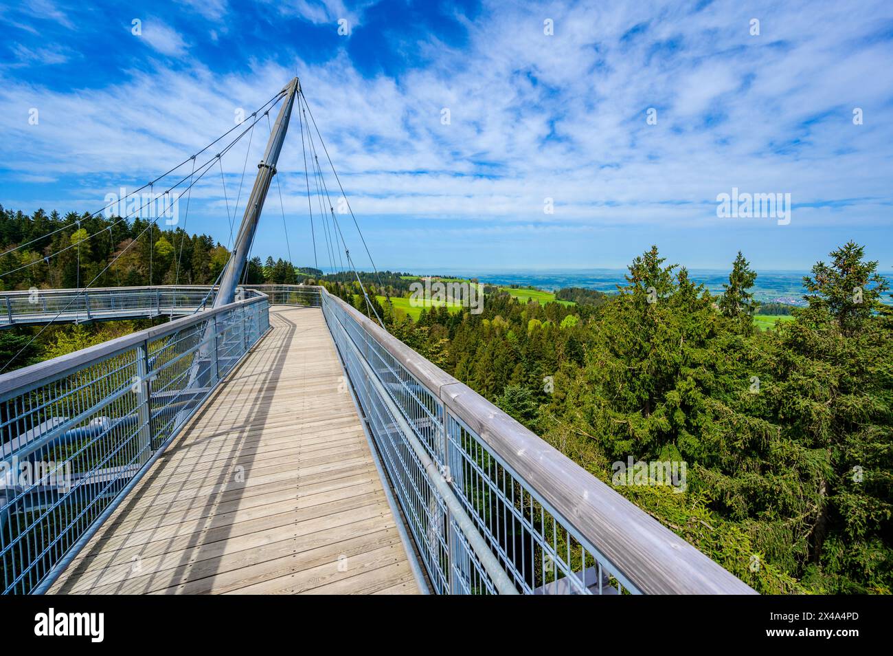 View of the tree top path and trail in beautiful mountain scenery ...