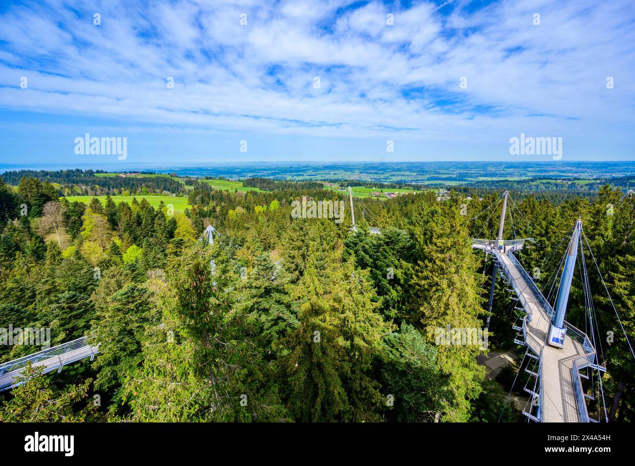 View of the tree top path and trail in beautiful mountain scenery ...