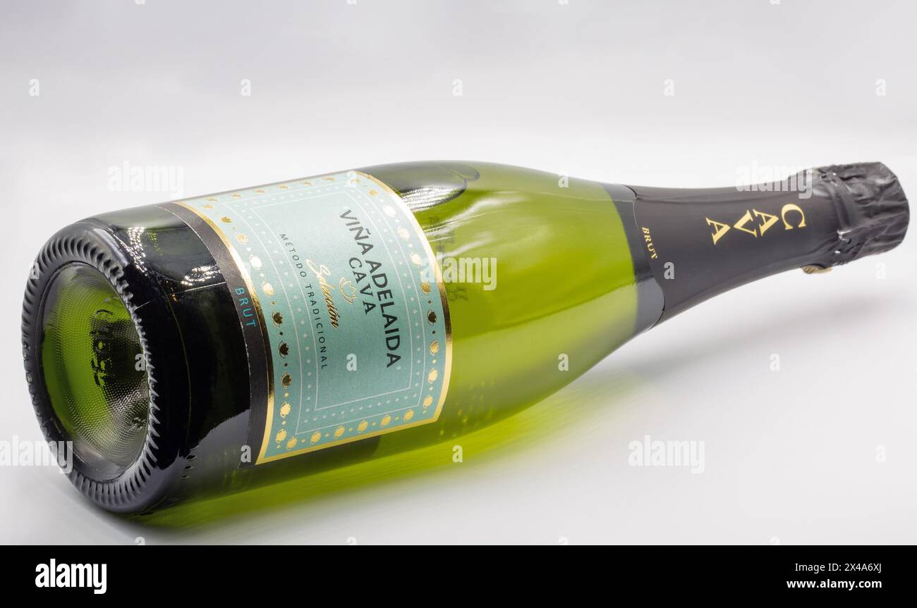 Kyiv, Ukraine - December 31, 2023: Studio shoot of Spanish Vina ...