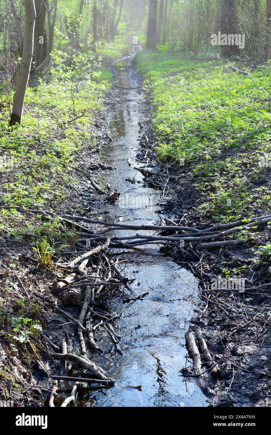 Wood ditch hi-res stock photography and images - Alamy