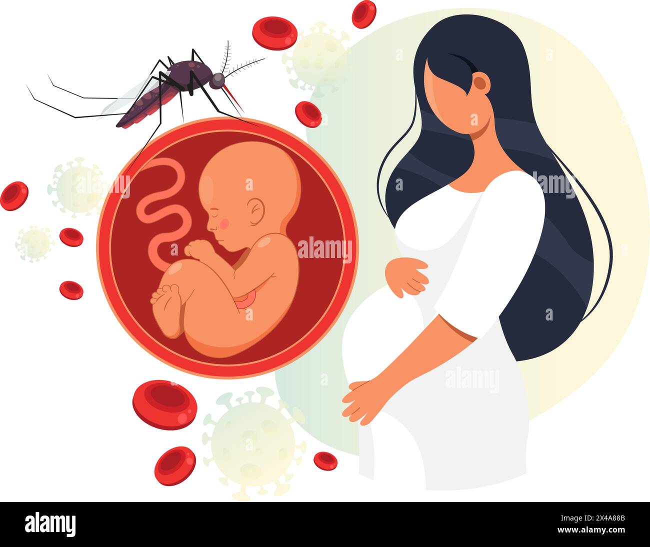 Zika Virus risk during Pregnancy - Stock Illustration as EPS 10 File Stock Vector Image & Art ...