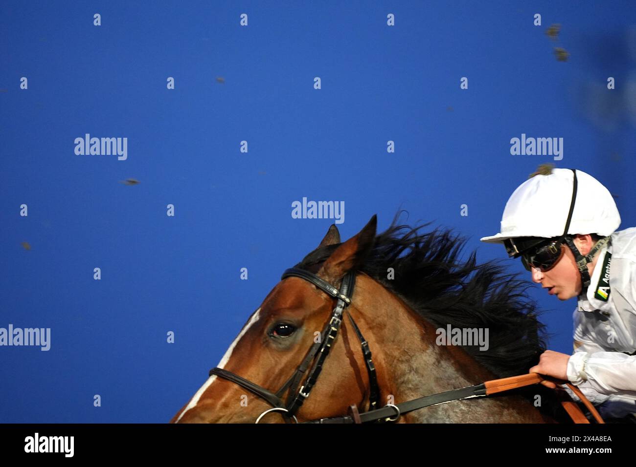 Taryn langley hi-res stock photography and images - Alamy