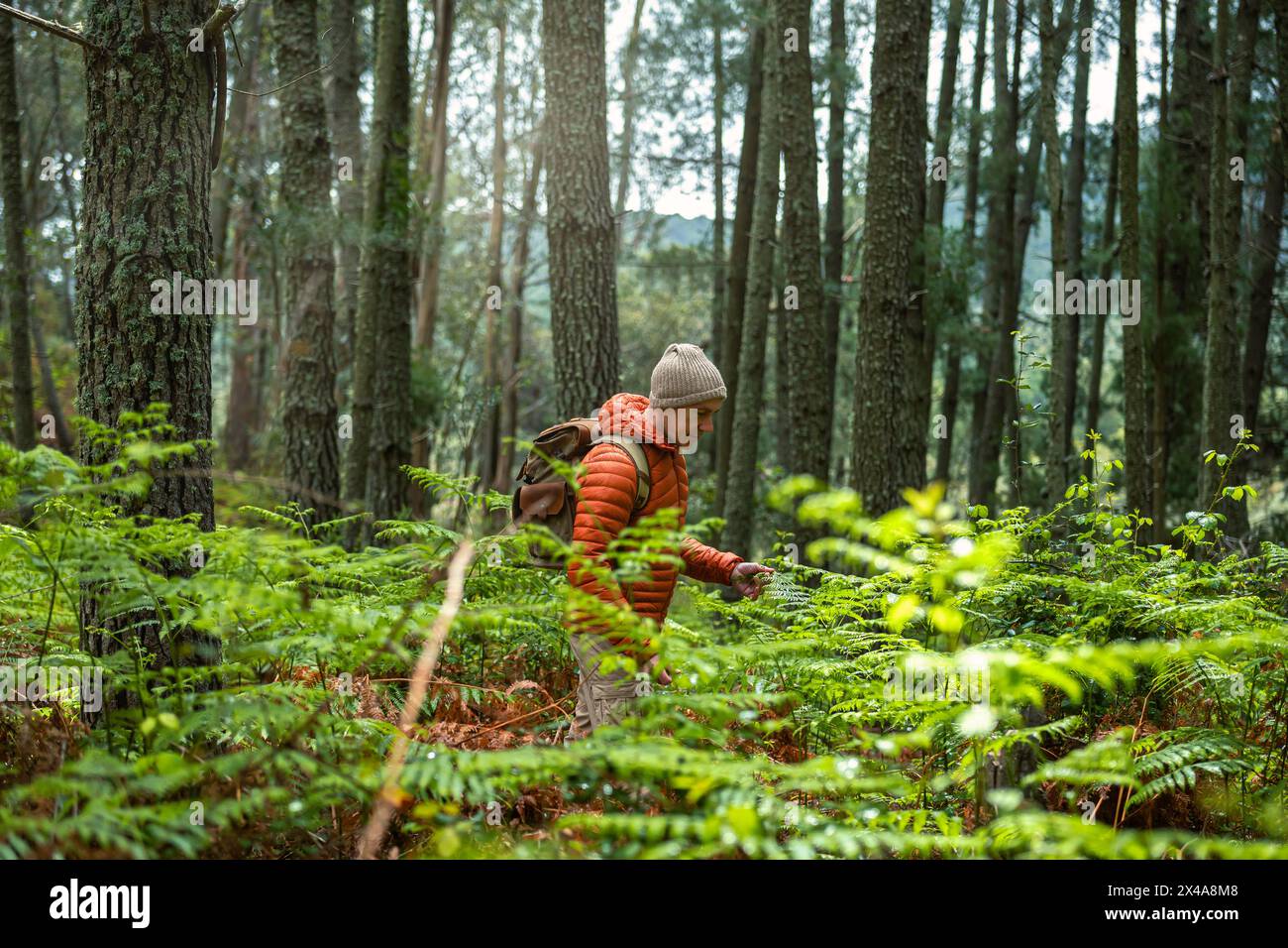 Mature man with cap, orange jacket and backpack looking and caressing ...