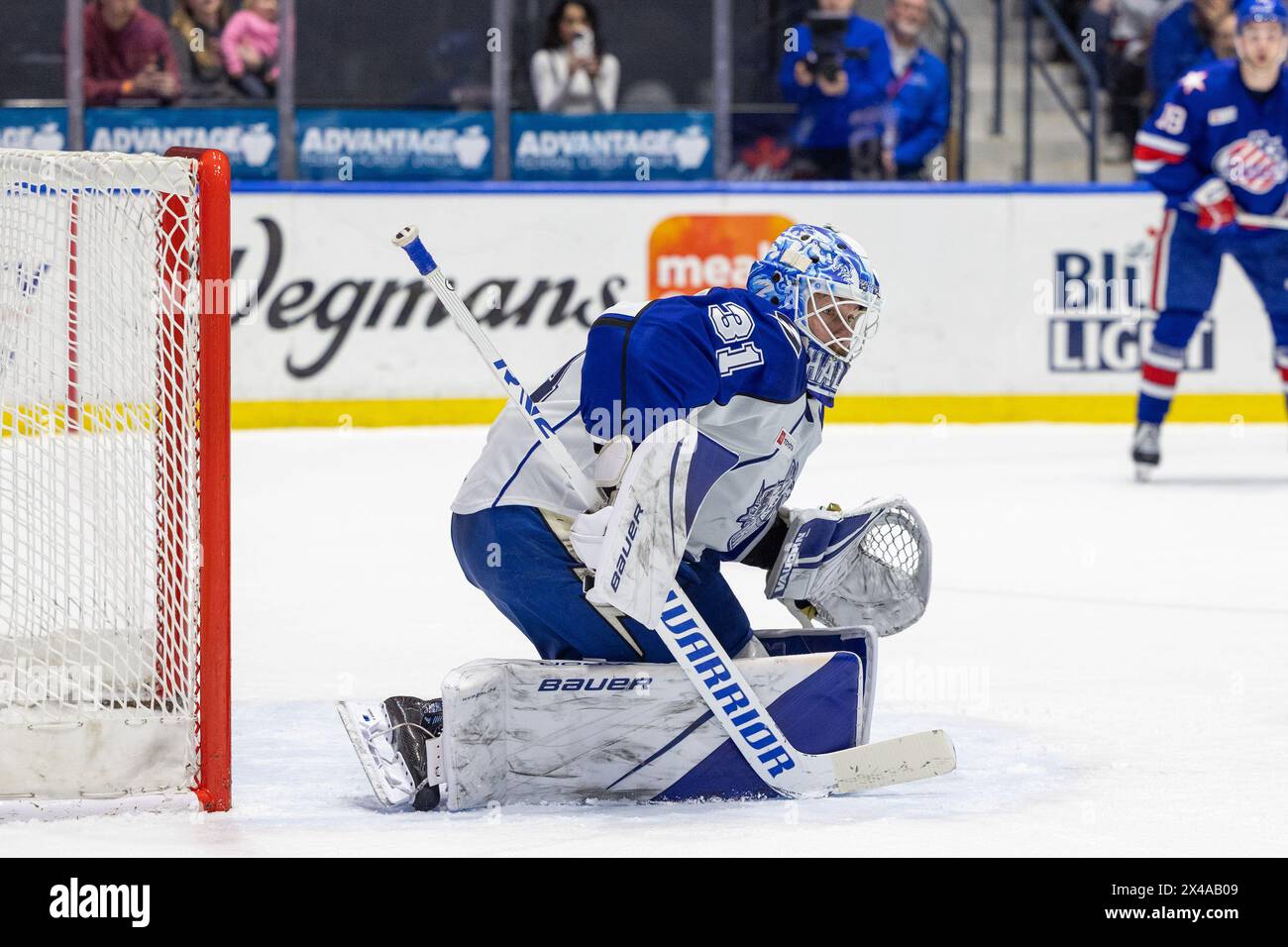 April 26th, 2024: Syracuse Crunch goaltender Brandon Halverson (31 ...
