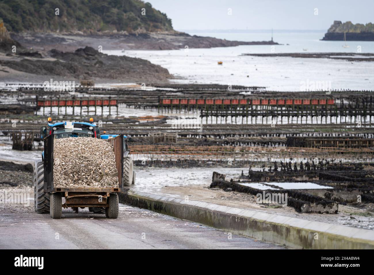 View of an oyster truck tractor with discarded oyster shells. Coastline ...