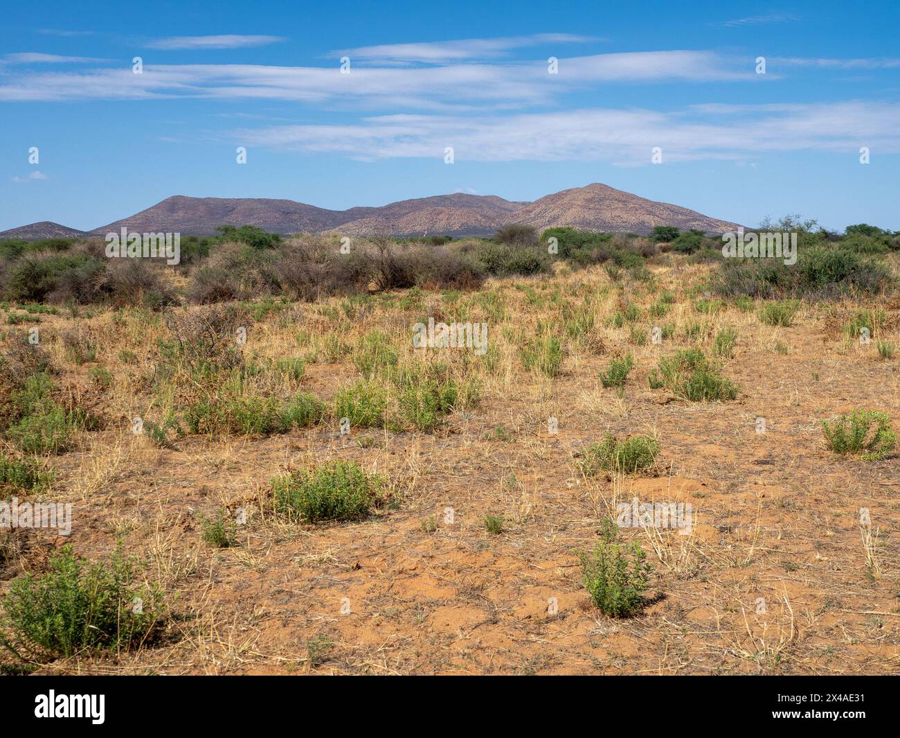 Mountain and bush near Windhoek, Namibia Stock Photo - Alamy