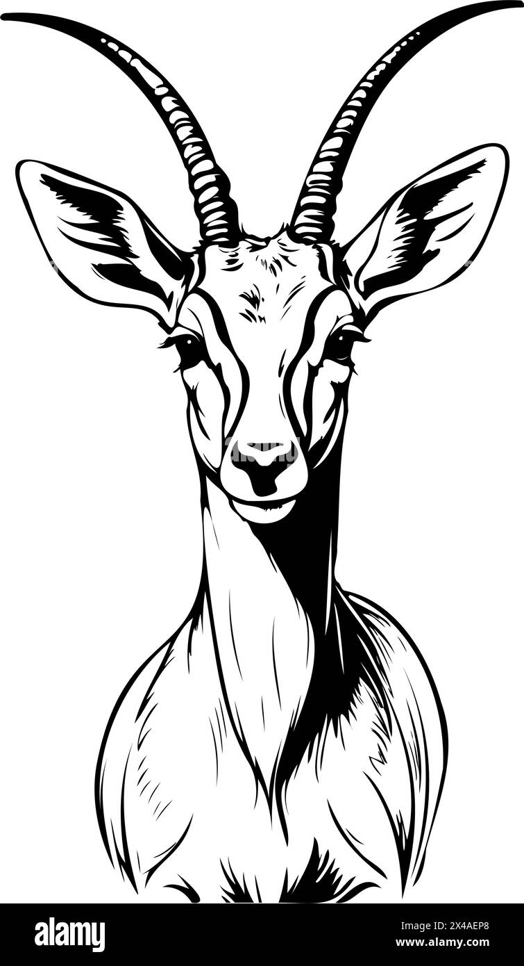 Antelope portrait isolated hand drawn animal illustration, transparent ...
