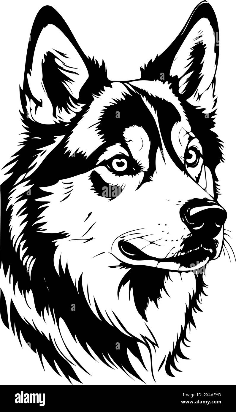 Engrave Alaskan Husky portrait realistic, ink sketch of animal outline ...