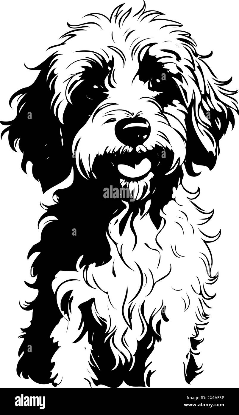 Aussiedoodle portrait sketches hand drawn animal illustration ...