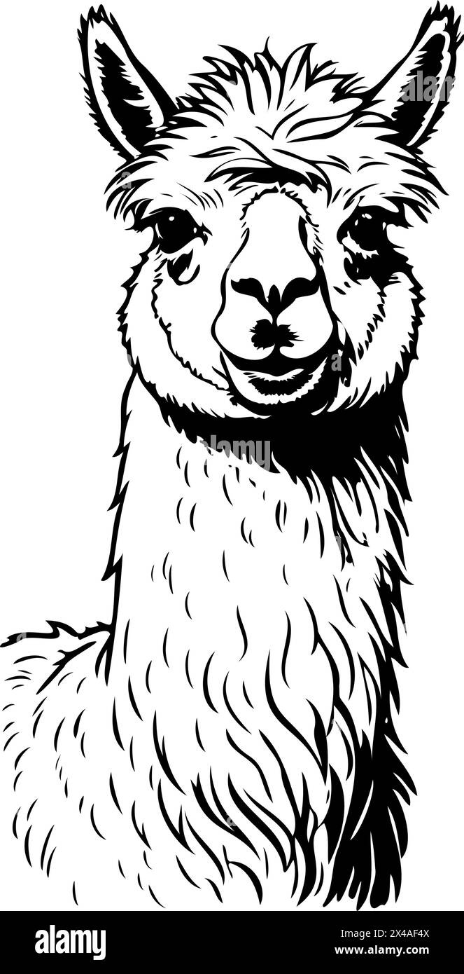 Alpaca painting Black and White Stock Photos & Images - Alamy