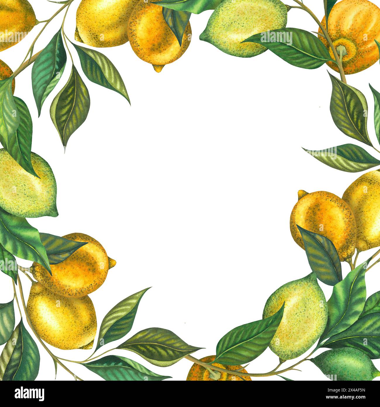 Watercolor lemon frame template border with full lemons branch with ...