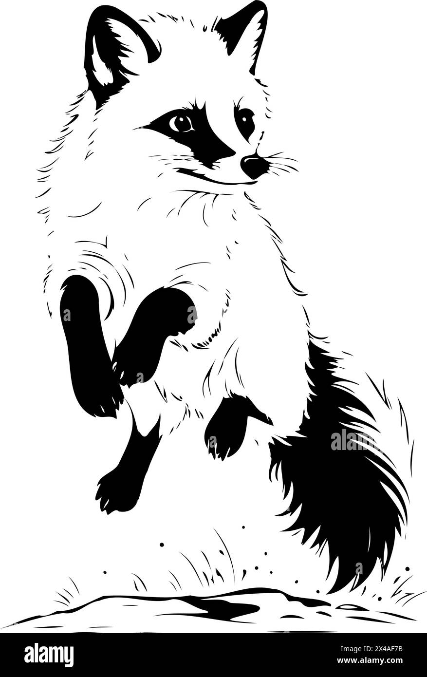 Monochrome Arctic Fox jumps vintage hand drawn animal illustration ...