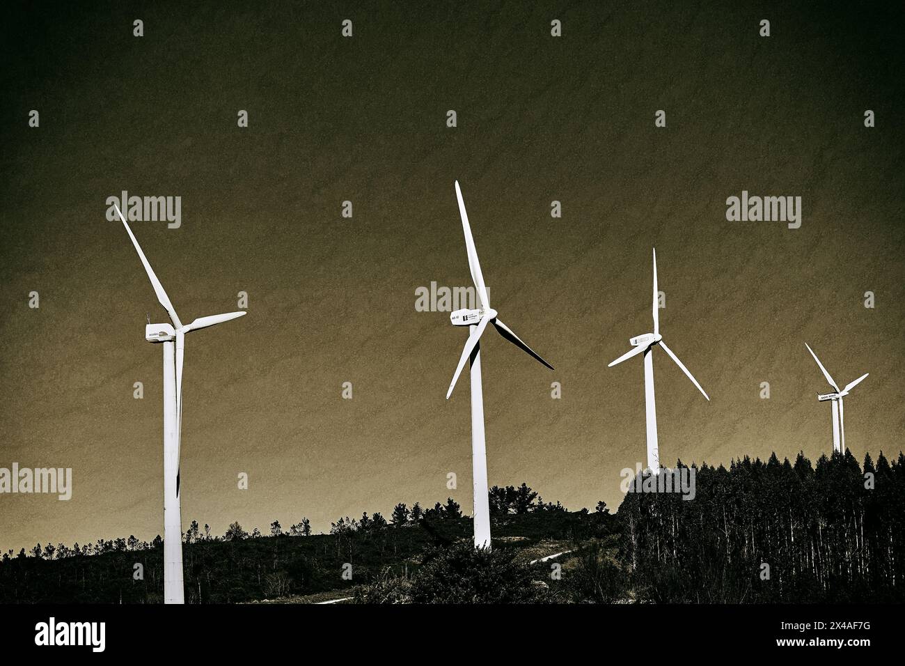 Wind turbines, black and white photo. Renewable energy concept, green ...