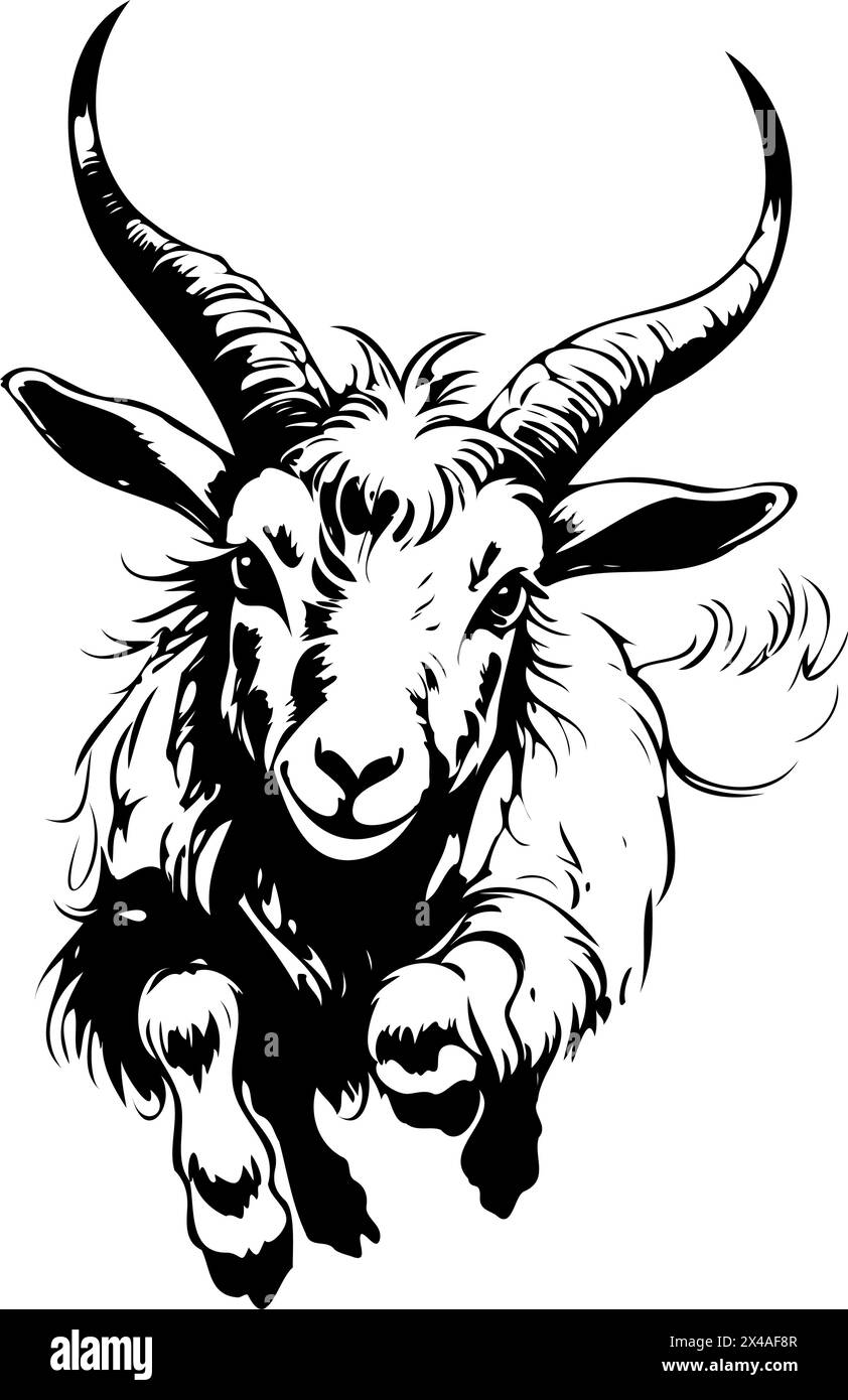 Realistic Angora Goat jumps vector hand drawn animal illustration ...