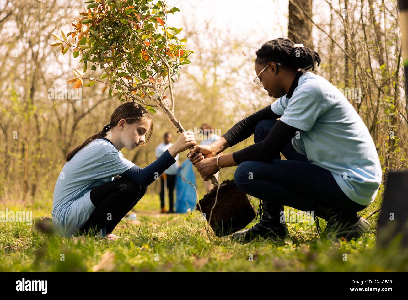 Small child and her colleague planting a tree in the forest ...