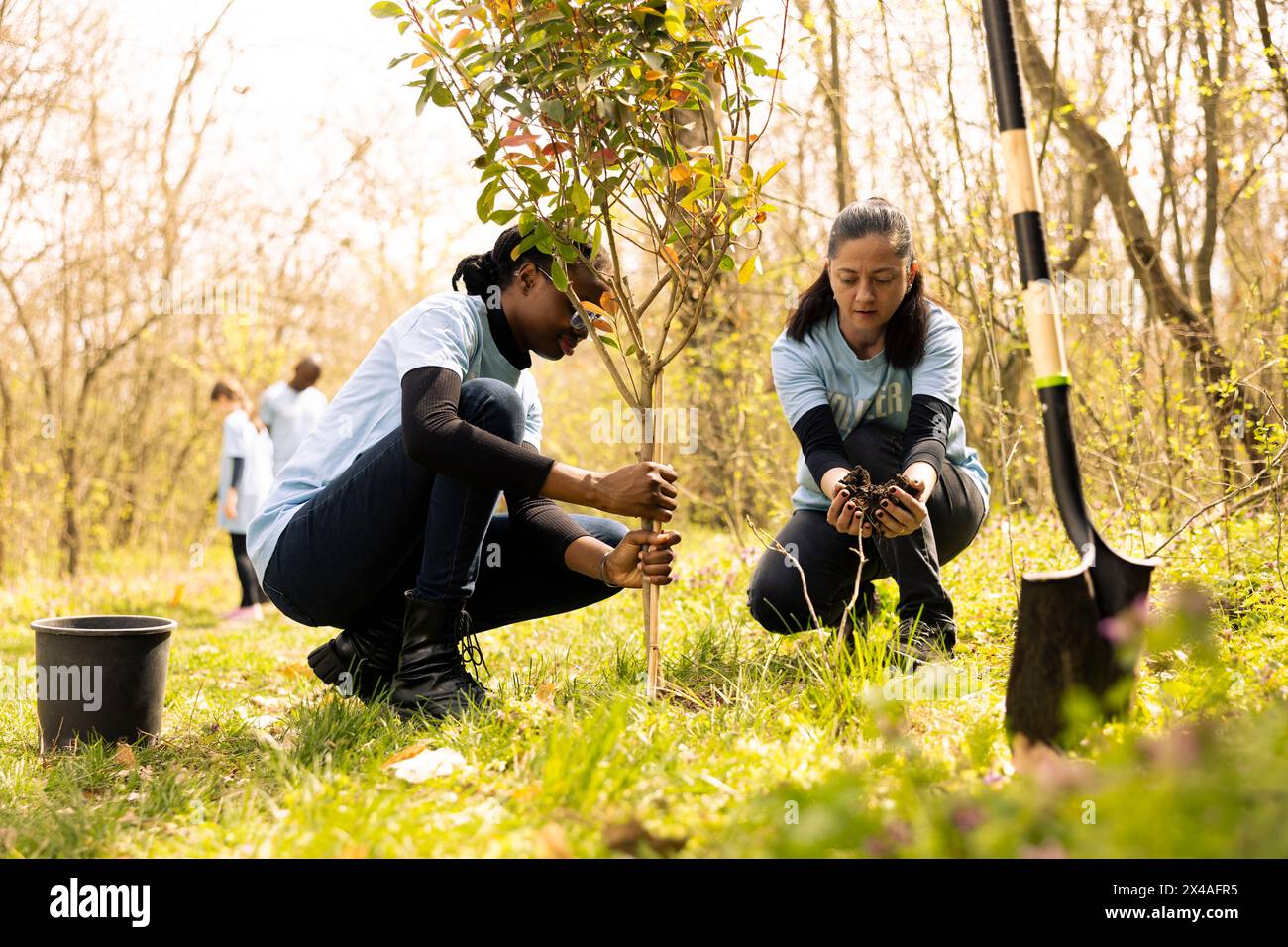 Team of environmentalists digging holes and planting greenery ...
