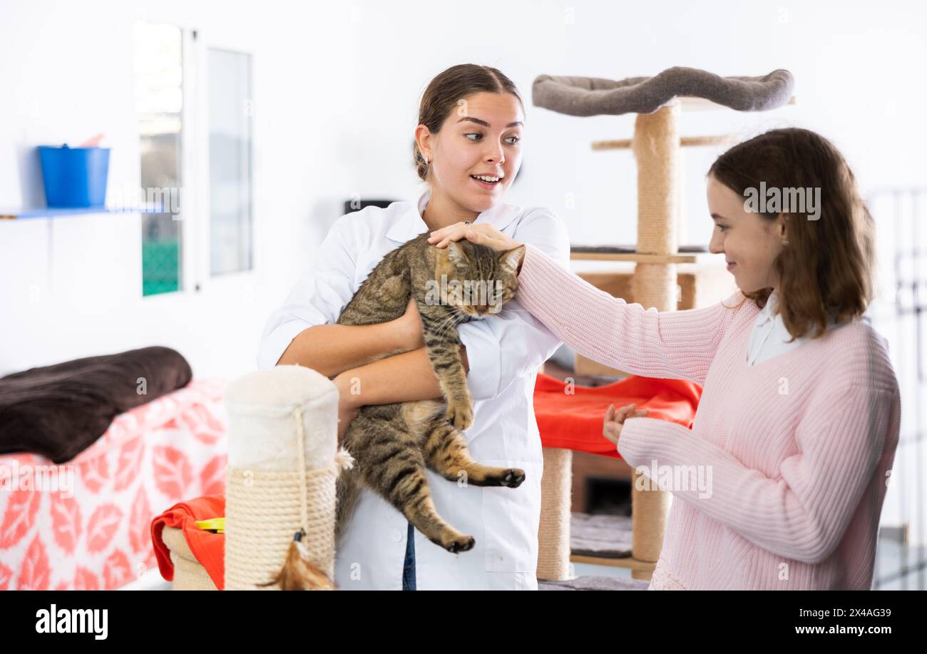 Female volunteer showing gray tabby cat to preteen girl in animal ...