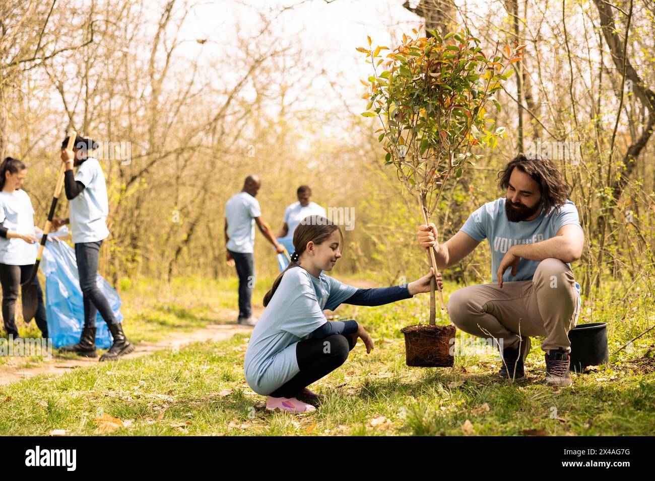 Man and little girl team up and plant a tree together in the woods ...