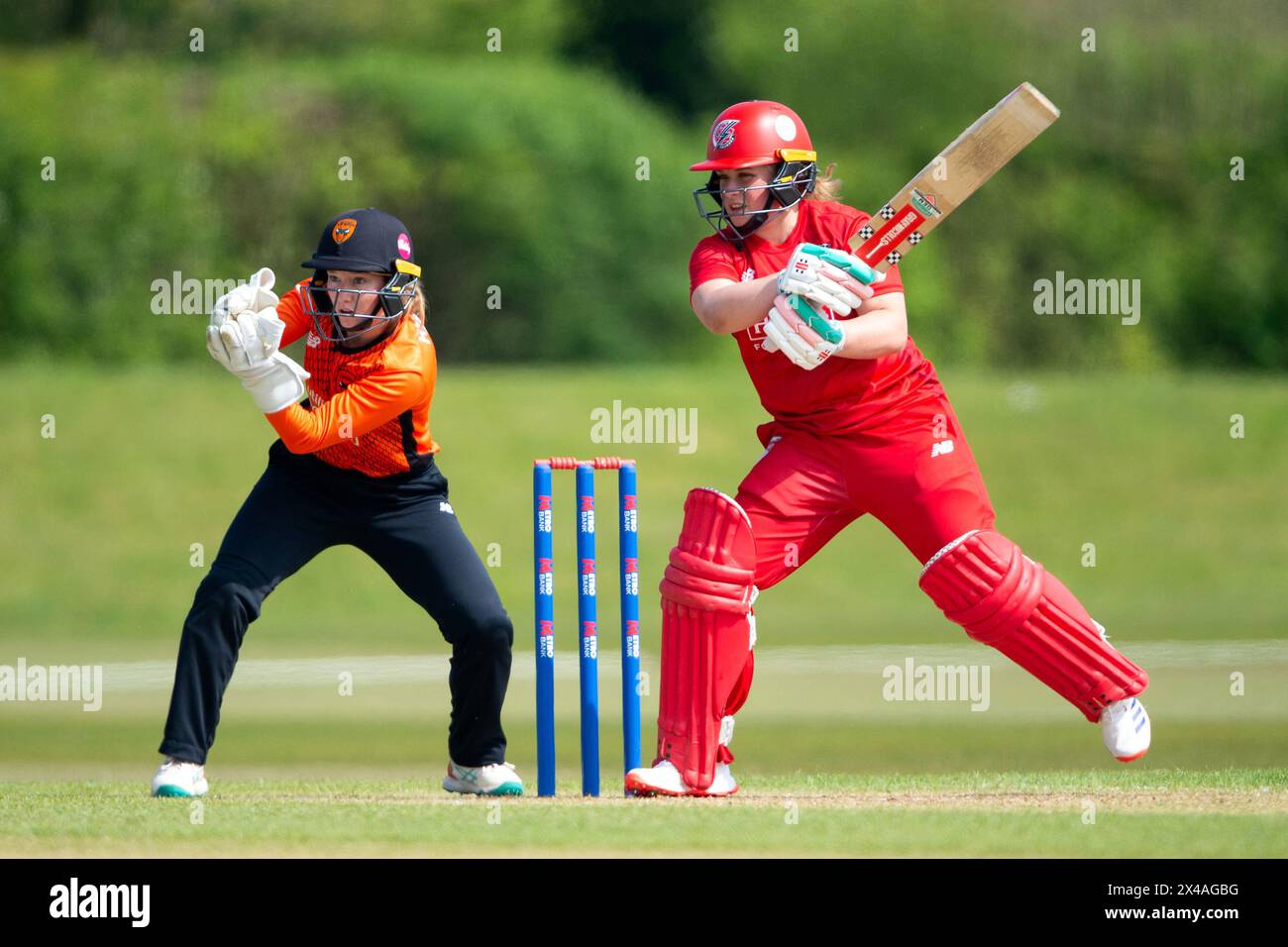 Cricket seren smale hi-res stock photography and images - Alamy