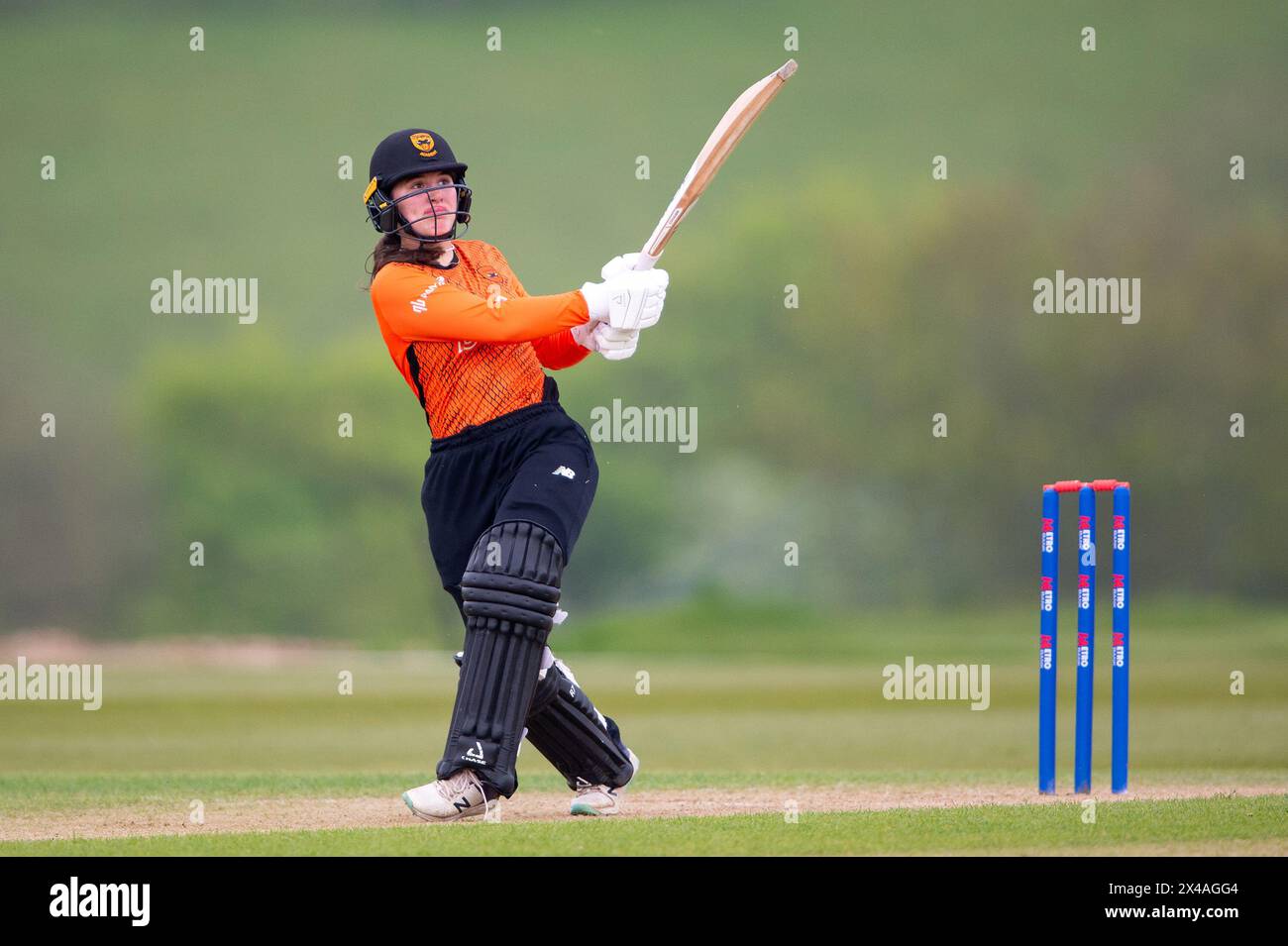 Stokenchurch, UK, 1st May 2024. Abi Norgrove of Southern Vipers batting ...