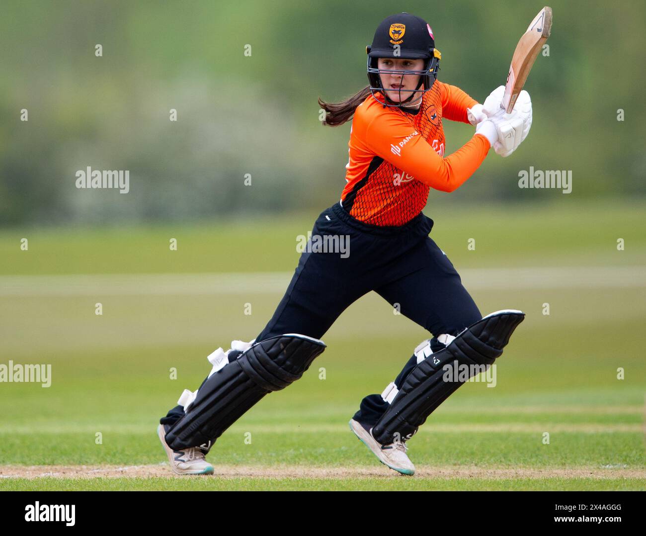 Stokenchurch, UK, 1st May 2024. Abi Norgrove of Southern Vipers batting ...