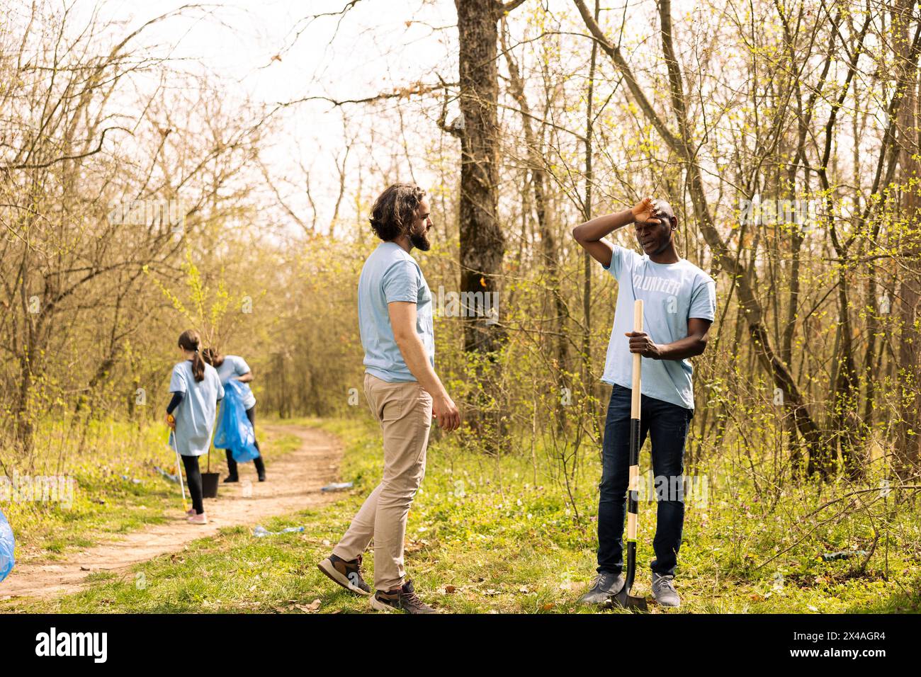 Team of people doing voluntary work to grow trees in the forest ...