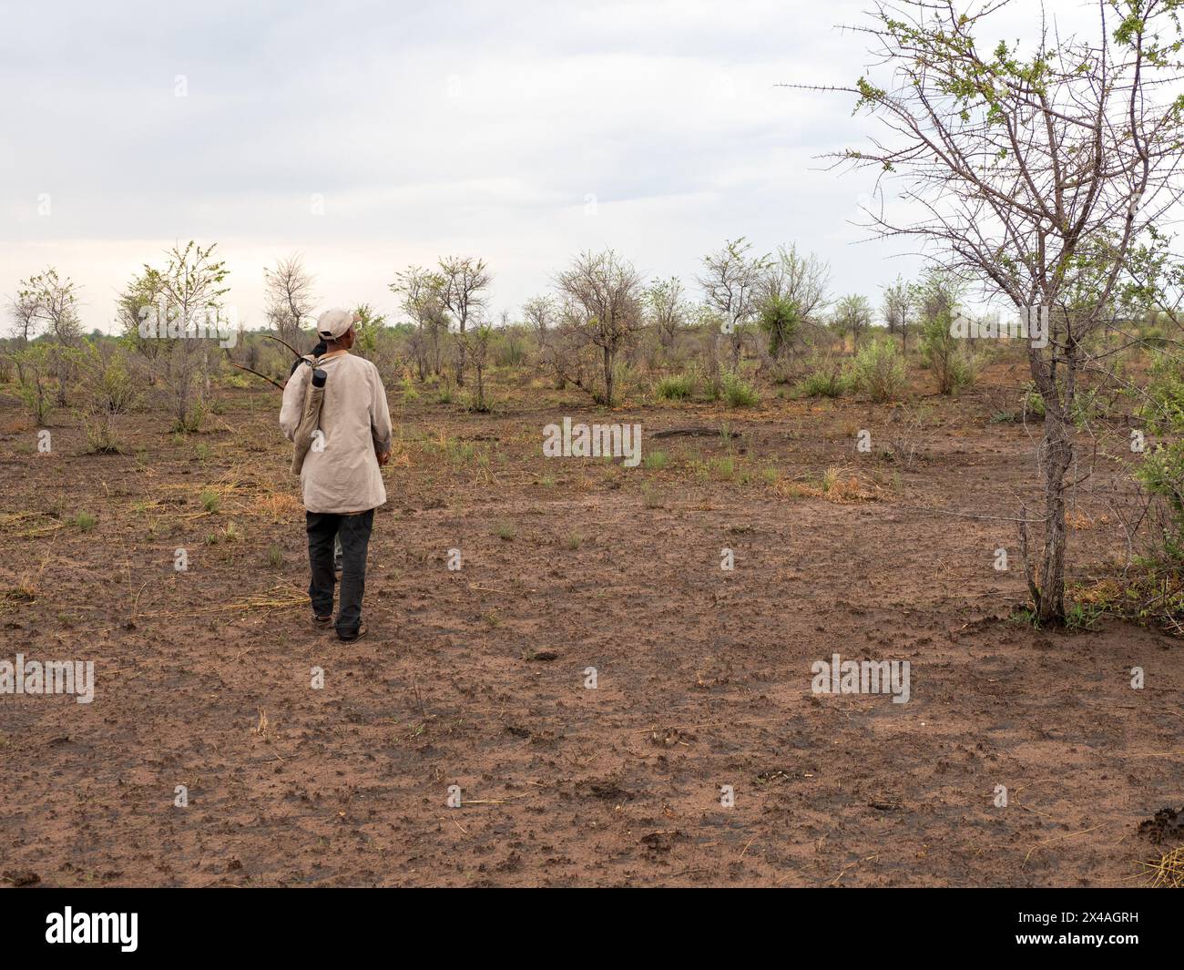 Tracking in the Kalahari with the San hunters, Namibia Stock Photo - Alamy