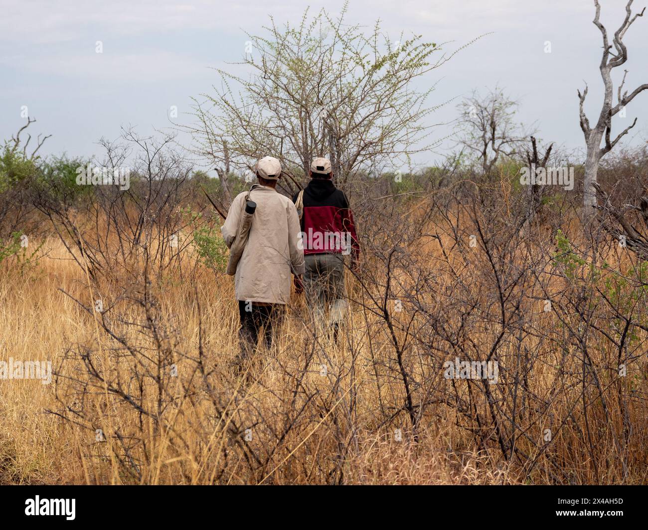 Tracking in the Kalahari with the San hunters, Namibia Stock Photo - Alamy