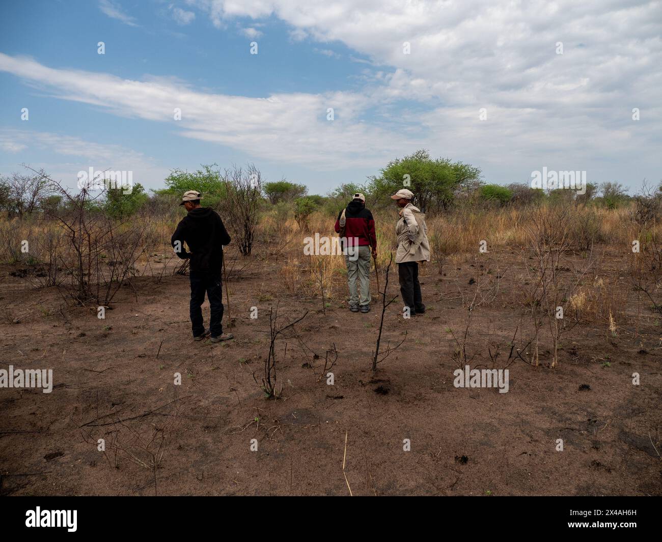 Tracking in the Kalahari with the San hunters, Namibia Stock Photo - Alamy