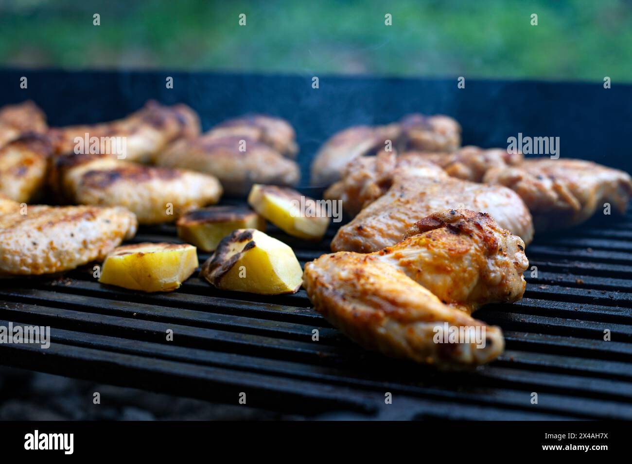 BBQ, barbecue grill for picnic with pork, beef, chicken meat and wings ...
