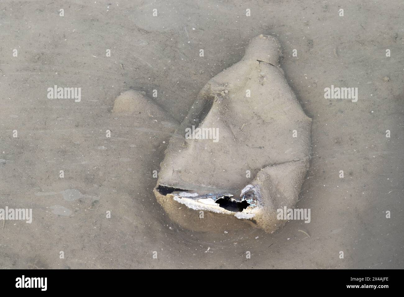 Environmental pollution in a silted lake with toxic water Stock Photo ...