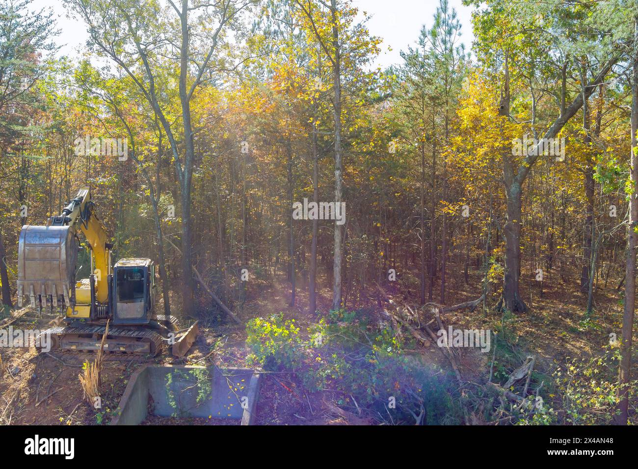 Tractor excavator is used to uproot trees in preparation for ...