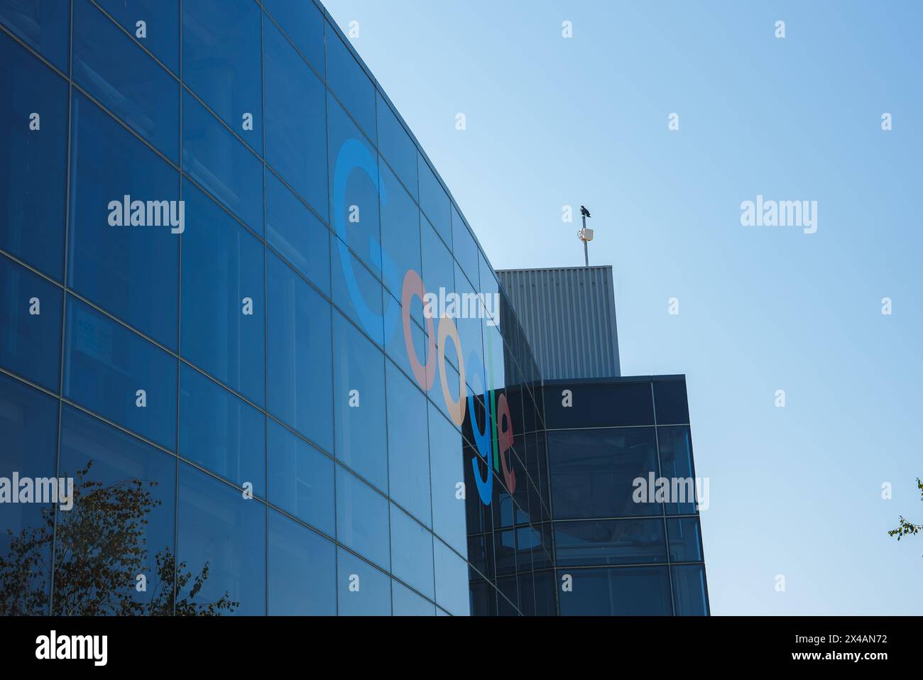 Modern Google office building with reflective facade, flag and tree ...