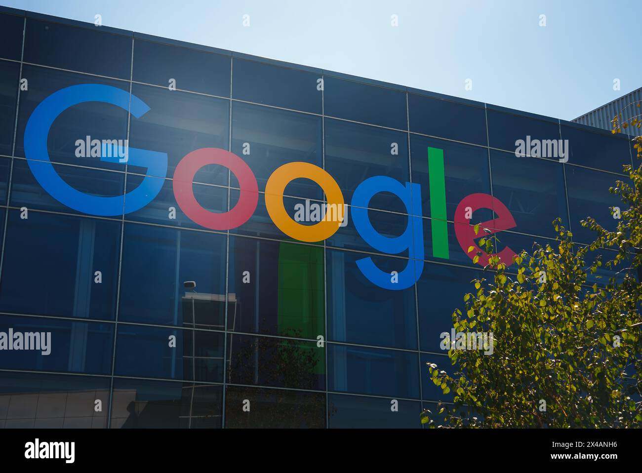 Modern building with Google logo, tree, clear sky Stock Photo - Alamy