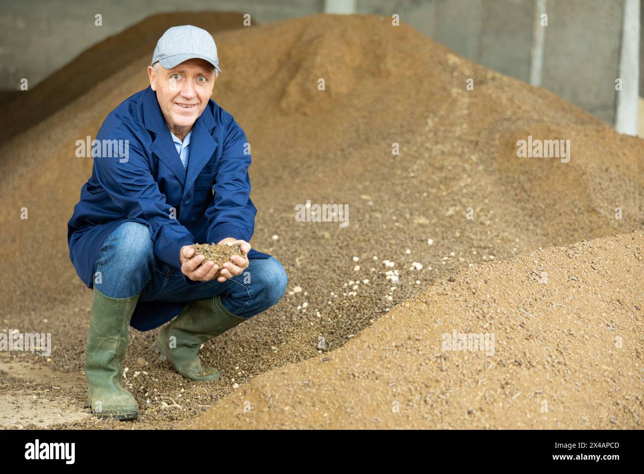 Farmer holding calf feed hi-res stock photography and images - Alamy