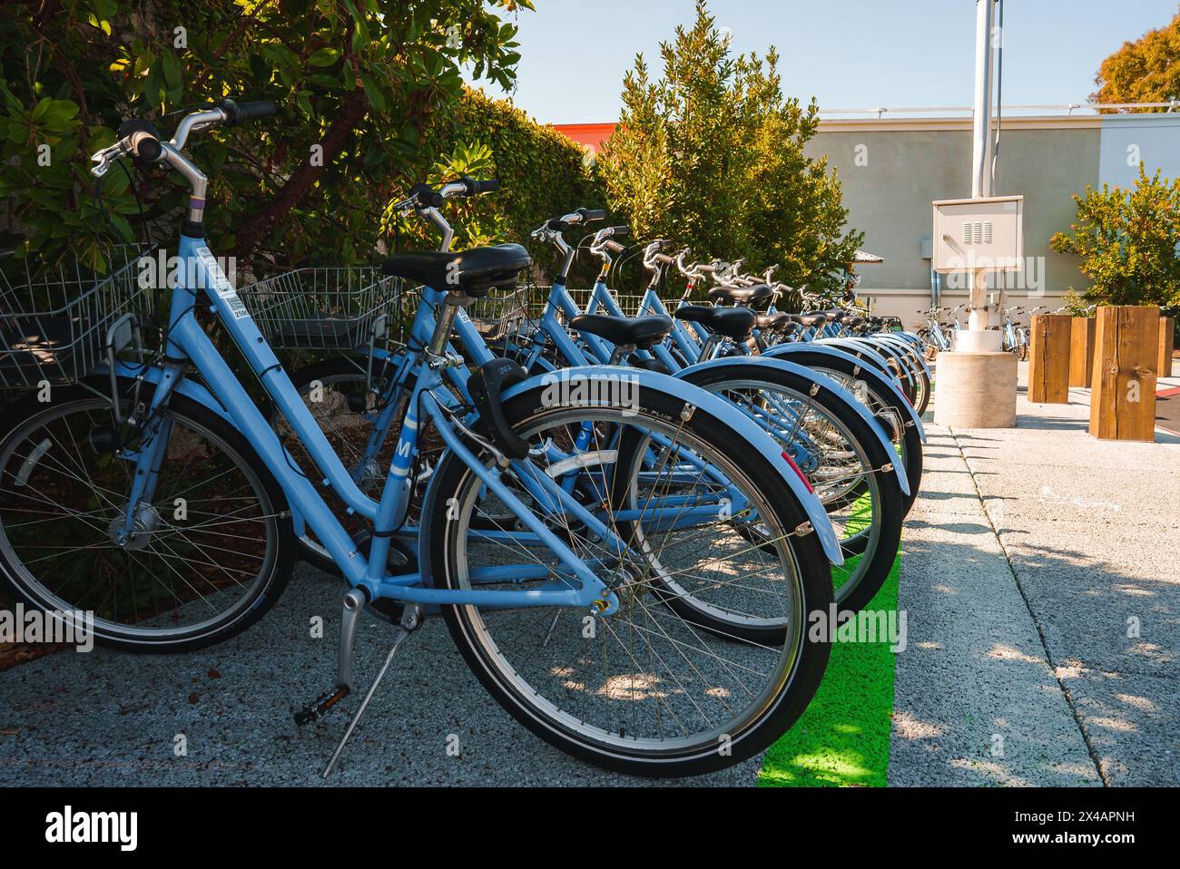 Blue Bicycles in Bike Sharing Station, Urban Landscape Stock Photo - Alamy