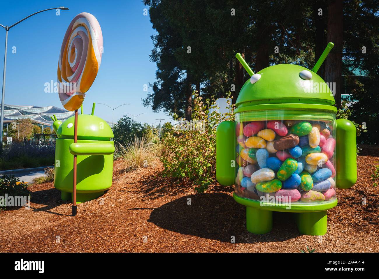 Googleplex Android Statues, Lollipop and Jelly Bean Versions, Mountain ...