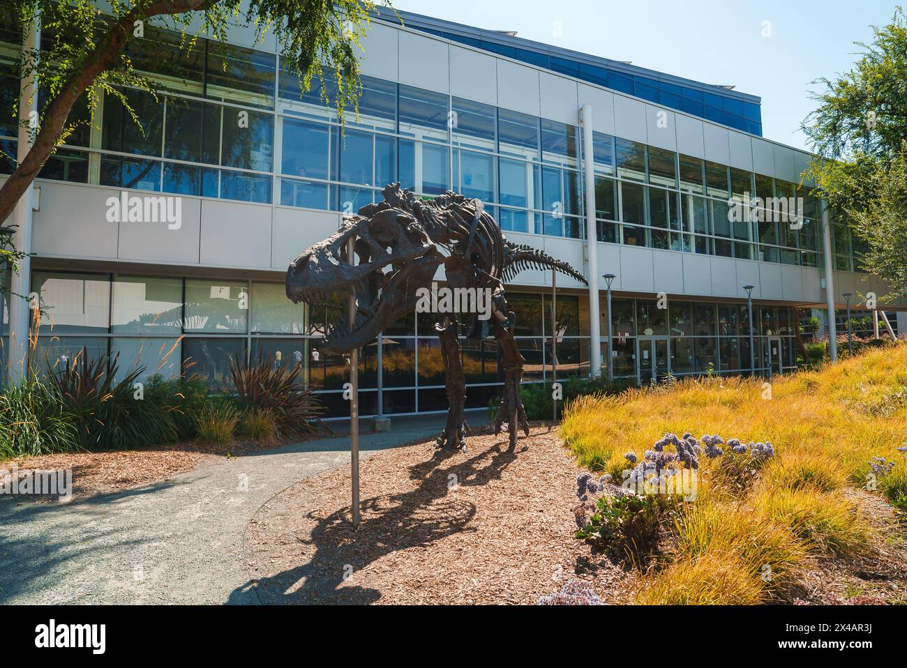 Life sized T. rex Sculpture Displayed Outside Modern Building, Blue Sky ...
