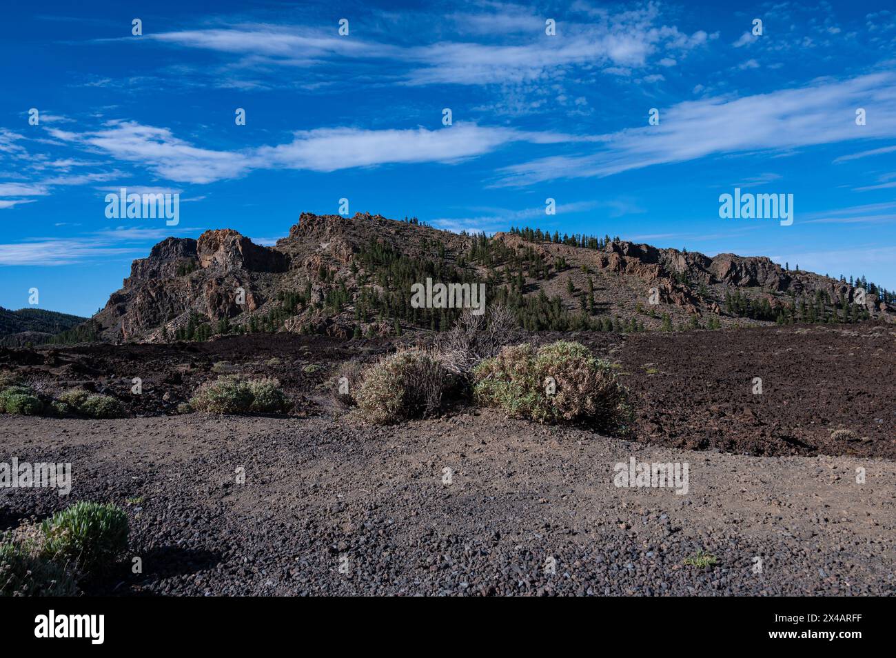 Las narices hi-res stock photography and images - Alamy