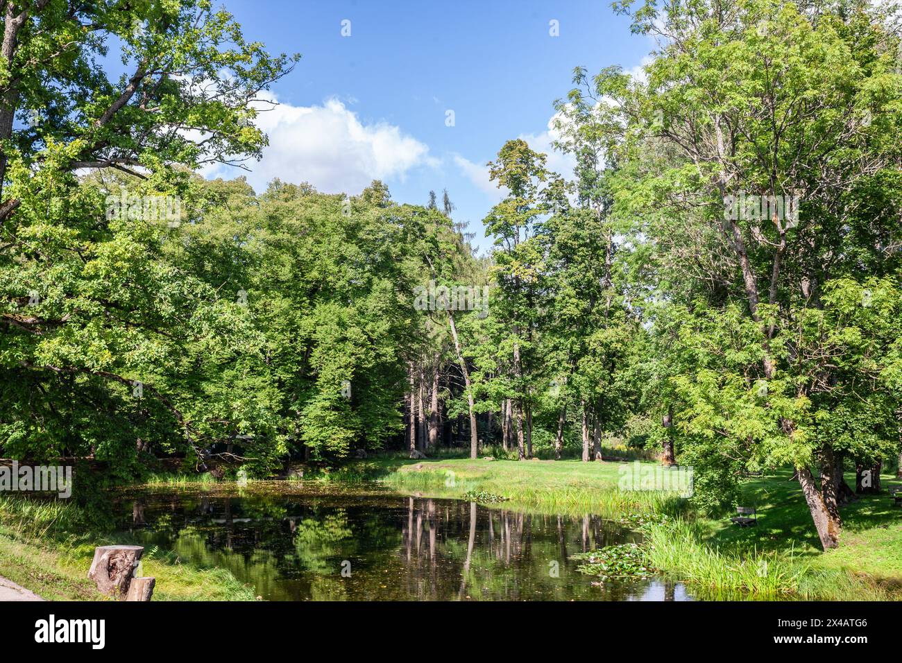 Eastern european flora hi-res stock photography and images - Alamy