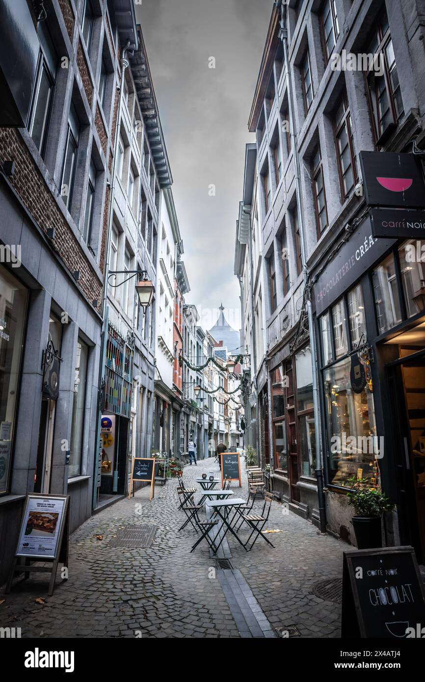 Picture of a typical pedestrian street of the city center of Liege ...