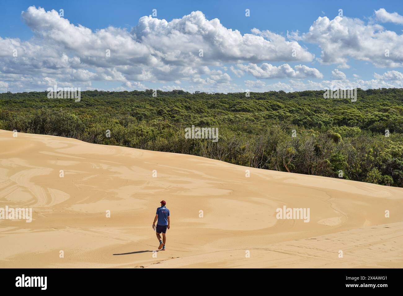 man walking through the sand dunes Stock Photo - Alamy