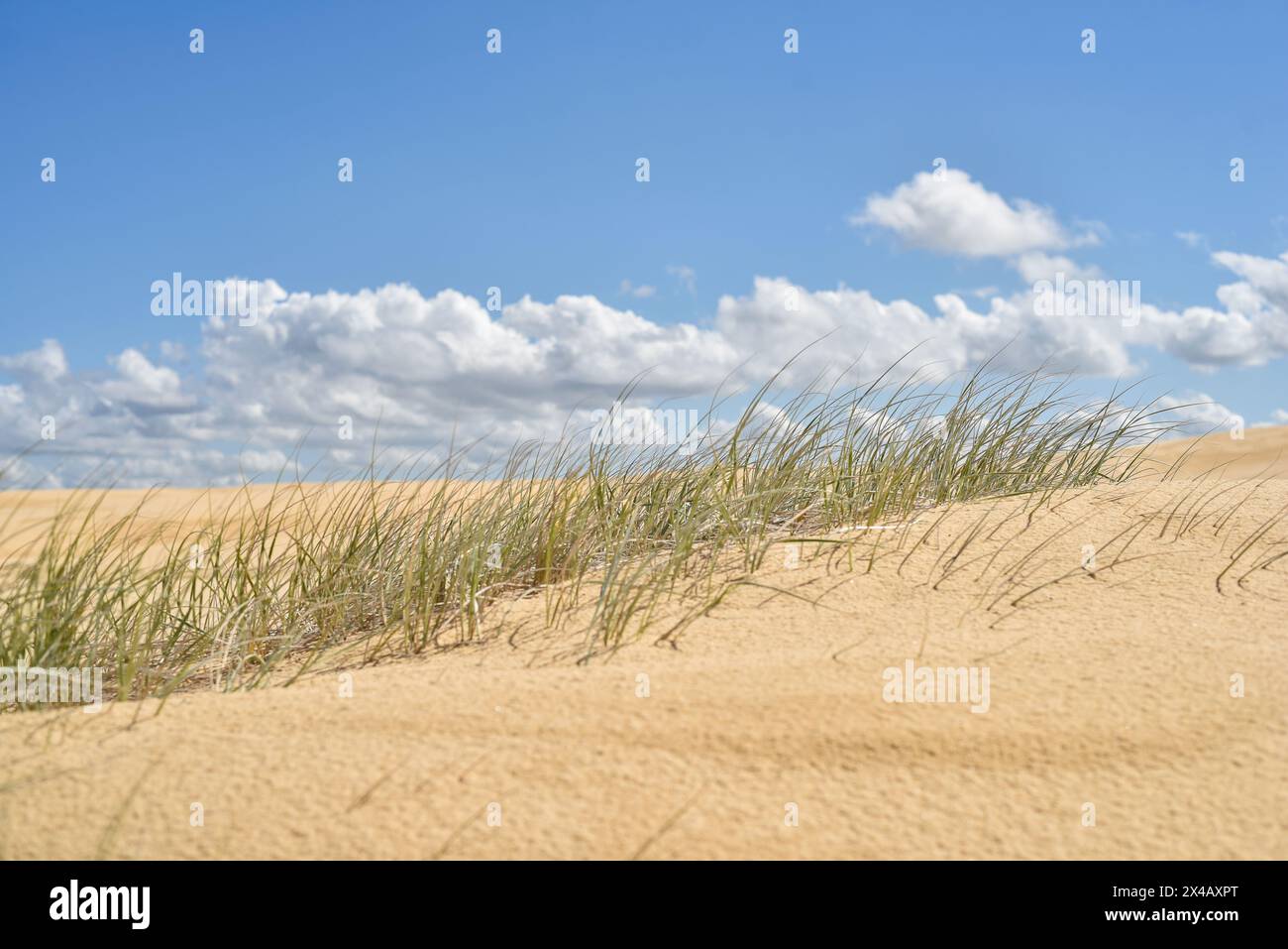 large sand dunes at Stockton beach Stock Photo - Alamy