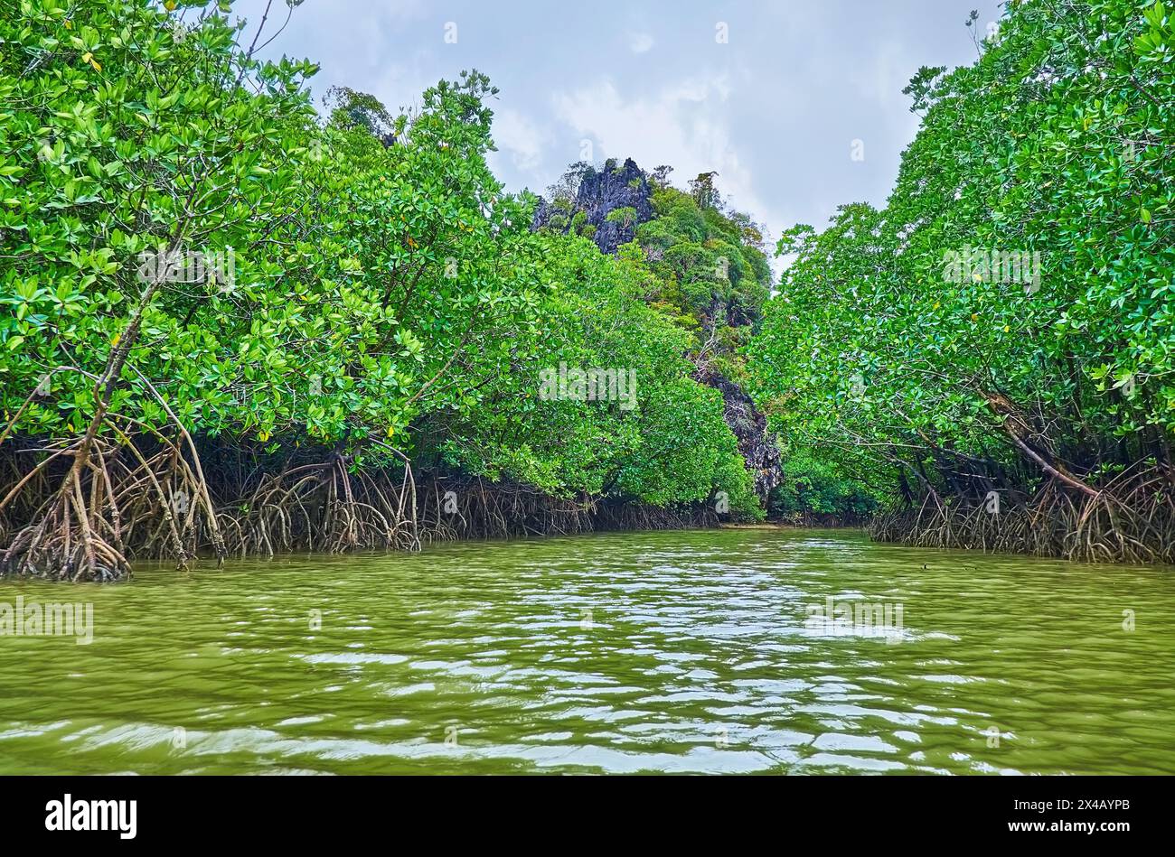 Explore the coast of Koh Thalu Ok Island with lush green mangroves ...