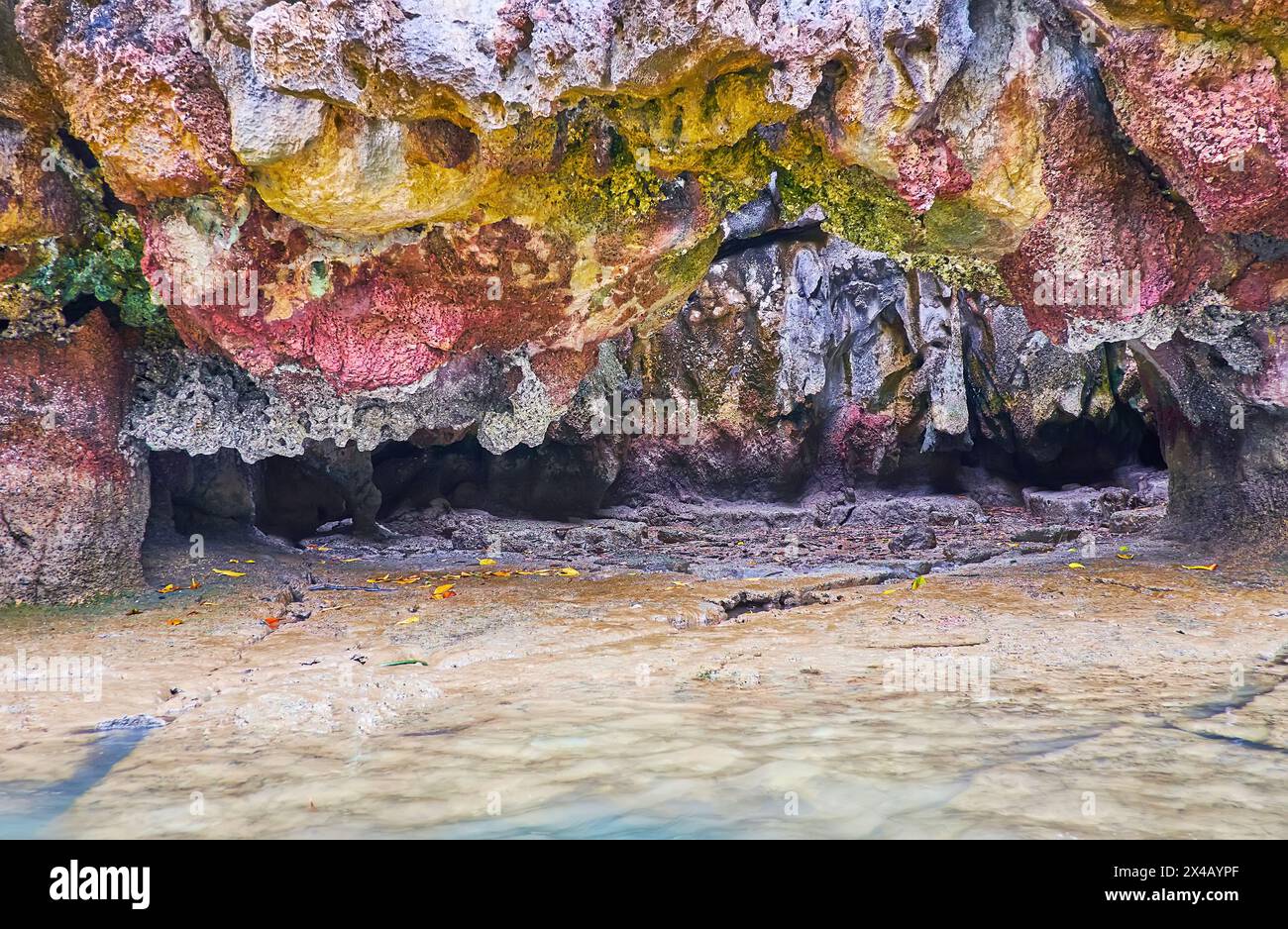 Mangrove cave hi-res stock photography and images - Alamy