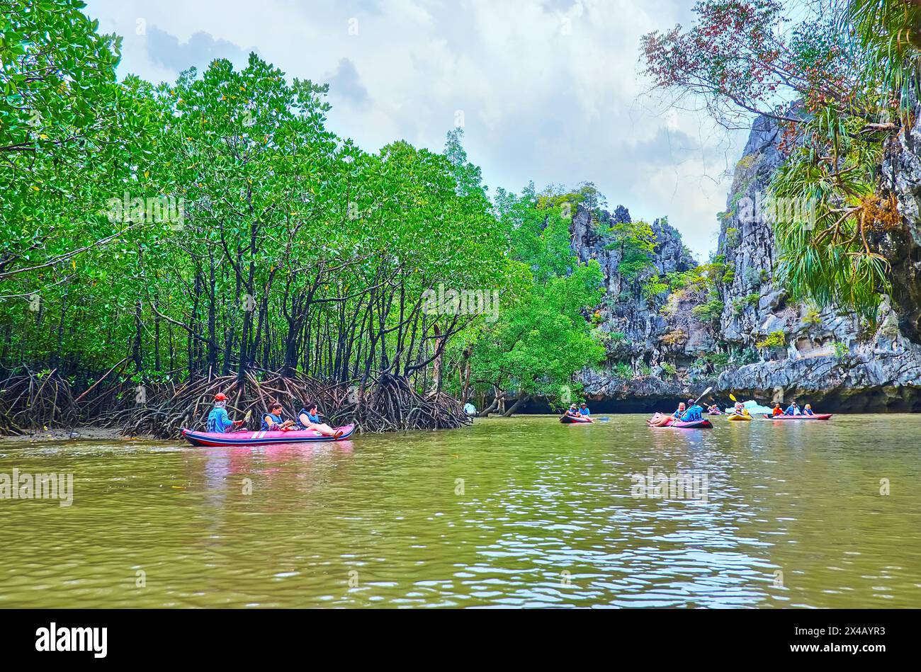 Enjoy the coastline of Koh Thalu Ok Island with lush green mangroves ...