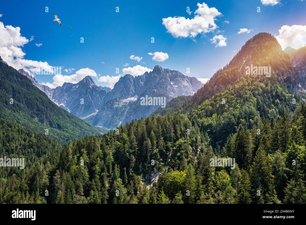 Great nature scenery in Slovenian Alps. Incredible summer landscape on ...