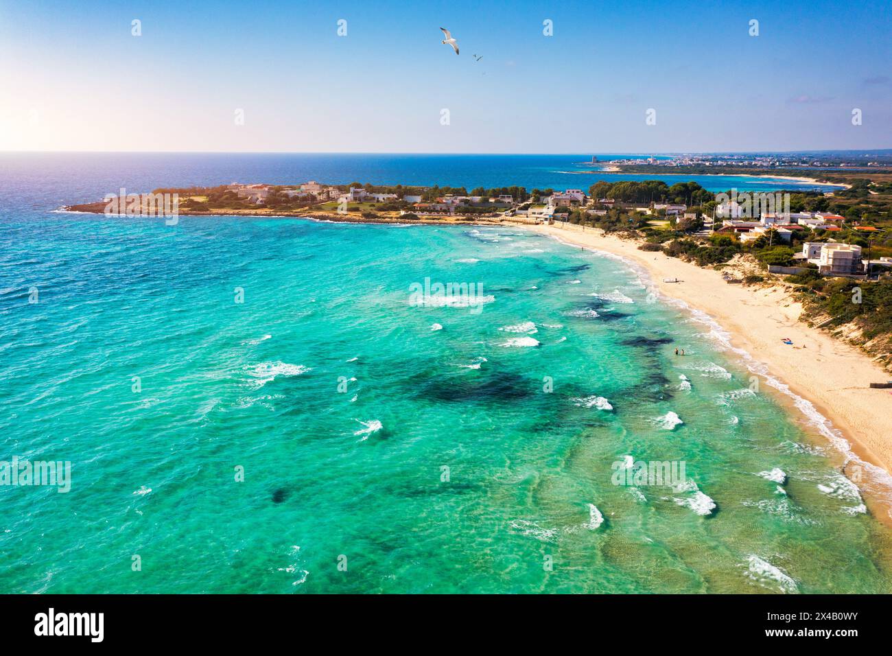 Punta Prosciutto azure sea water, crystal clear water on beach Punta ...